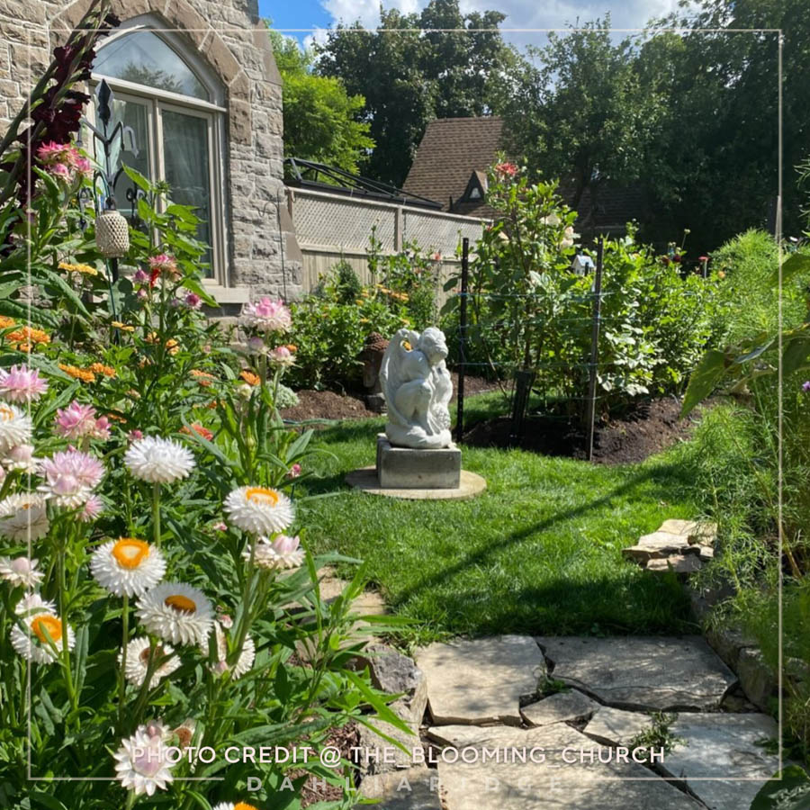 Jane – DahliaRidge.com